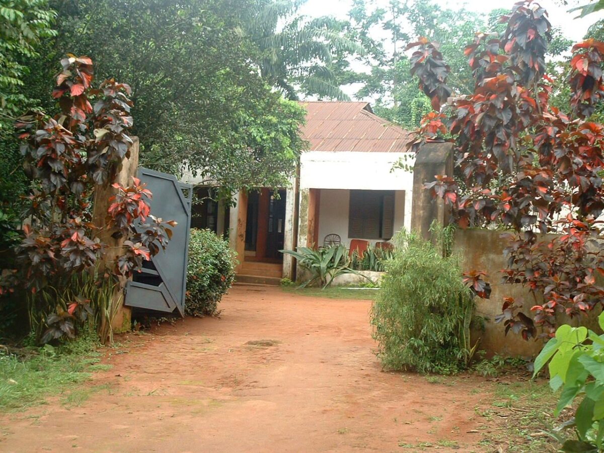 From War-Torn Childhood to Animation Pioneer: The Inspiring Journey of ...